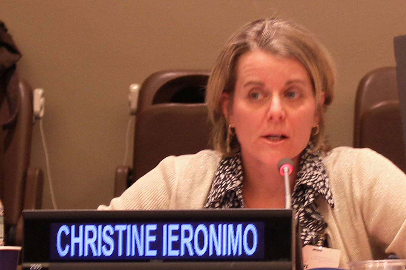 CTAUN | Committee on Teaching About the United Nations